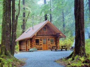 Bellas casas de madera en el bosque - Casas Rusticas