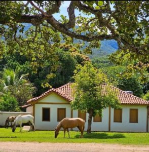 El encanto de las casas rústicas de granja: Un retiro sereno en la ...