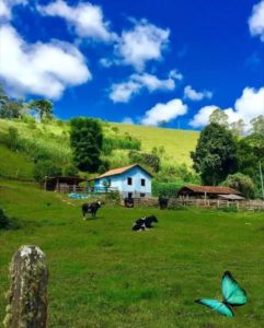 El encanto de las casas rústicas de granja: Un retiro sereno en la ...